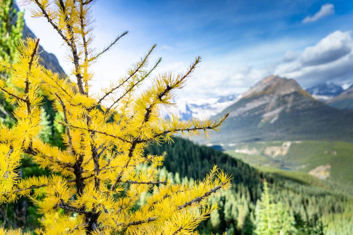 Twin Lakes Trail in Banff National Park - Travel Banff Canada