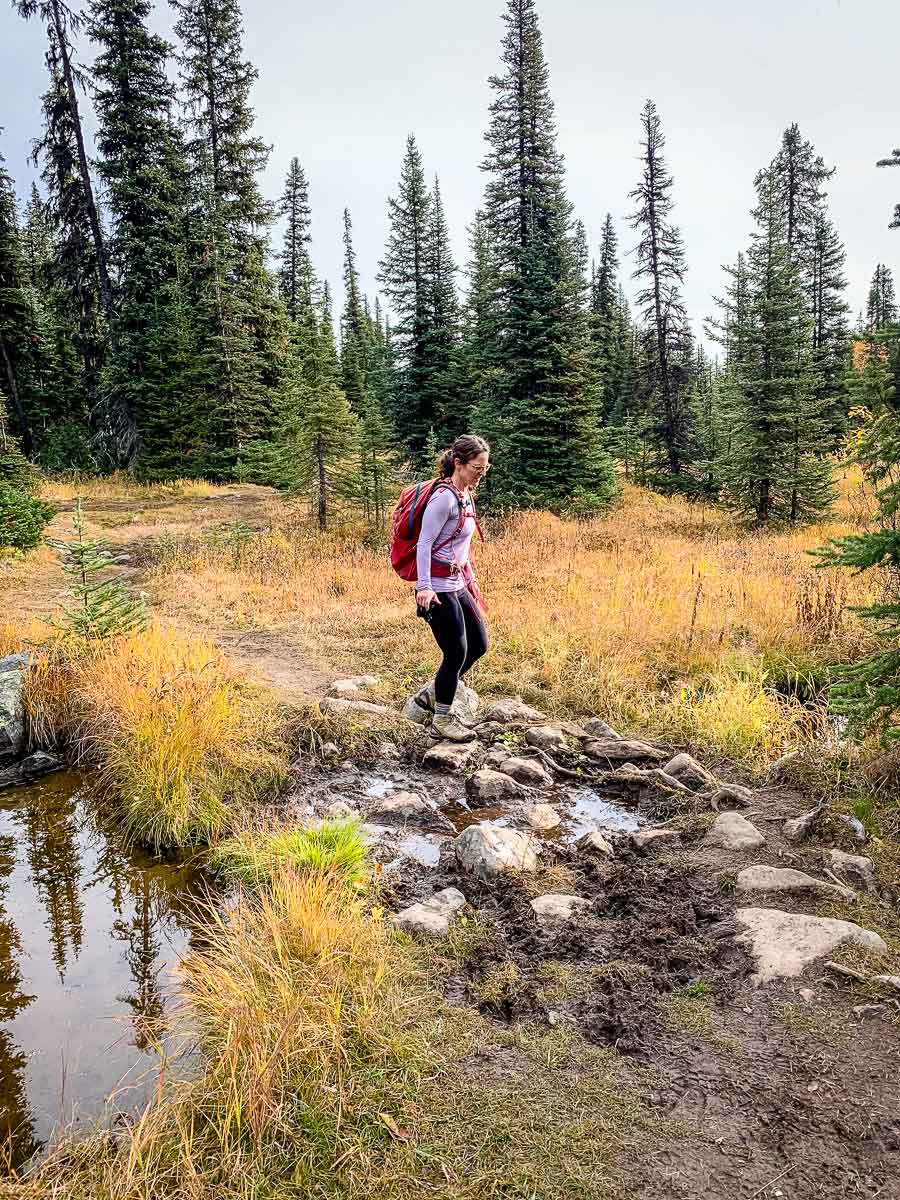 O'Brien Lake Hike - Banff National Park - Travel Banff Canada