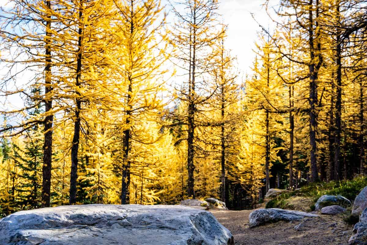 Visiting Banff in September: What You NEED to Know - Travel Banff Canada