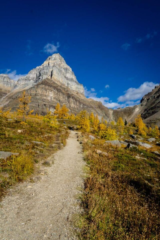Sentinel Pass Hike via Larch Valley in Banff National Park - Travel ...