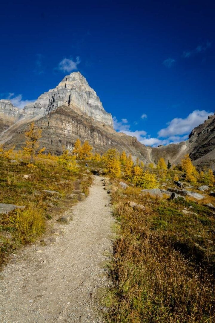 Sentinel Pass Hike via Larch Valley in Banff National Park - Travel ...