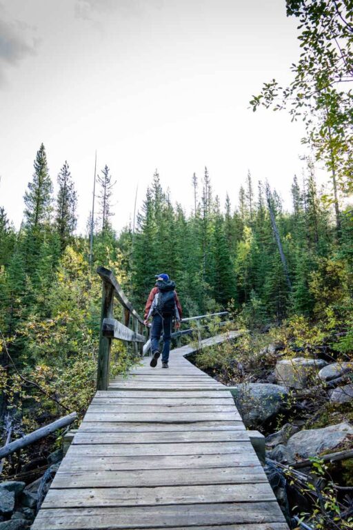 Arnica Lake Trail in Banff National Park - Travel Banff Canada