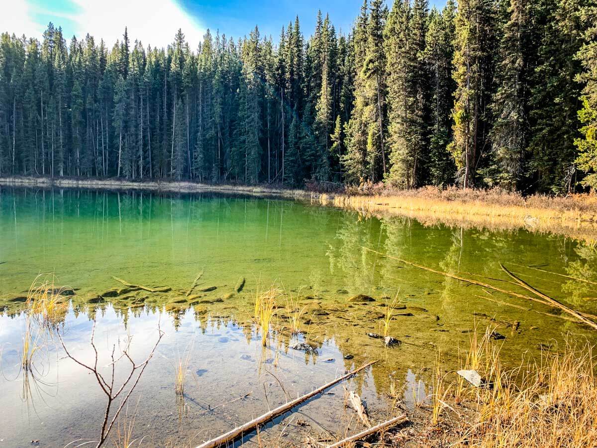Hike to Copper Lake and Smith Lake in Banff National Park - Travel ...