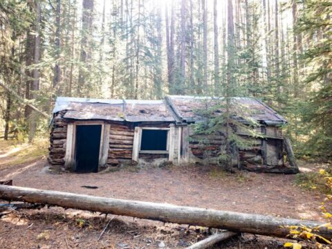 Johnson Lake Hike - Banff - Travel Banff Canada