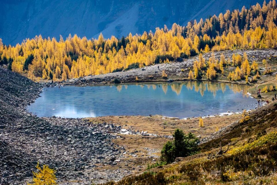 Sentinel Pass Hike via Larch Valley in Banff National Park - Travel ...