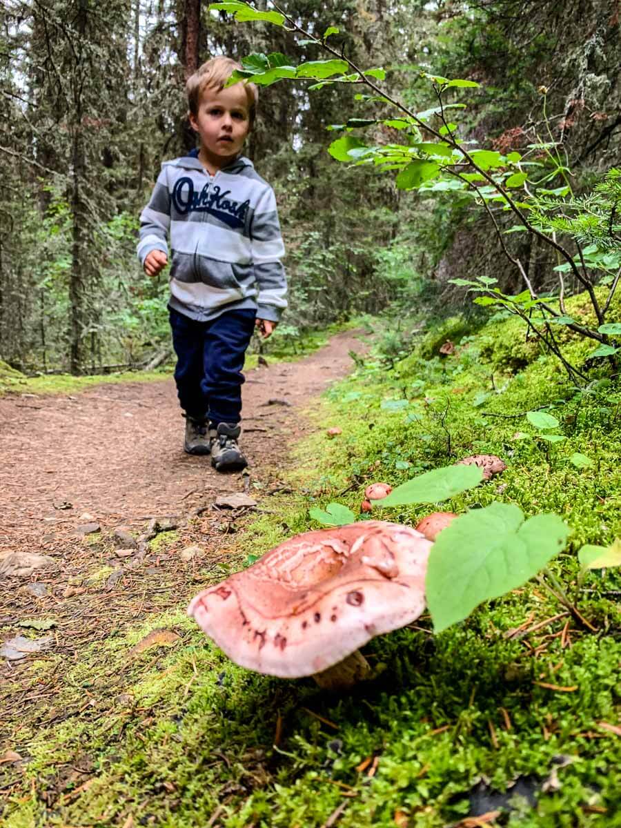 Stoney Lookout Hike in Banff National Park - Travel Banff Canada