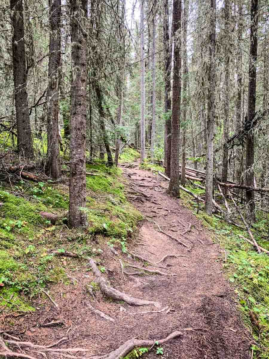 Stoney Lookout Hike in Banff National Park - Travel Banff Canada