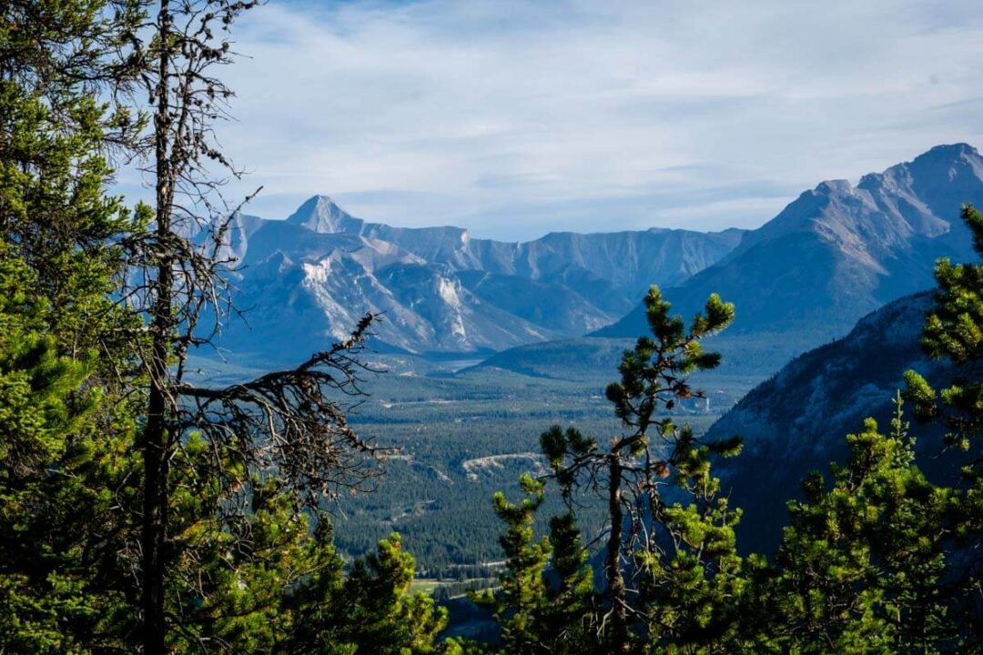 Sulphur Mountain Hike in Banff National Park - Travel Banff Canada