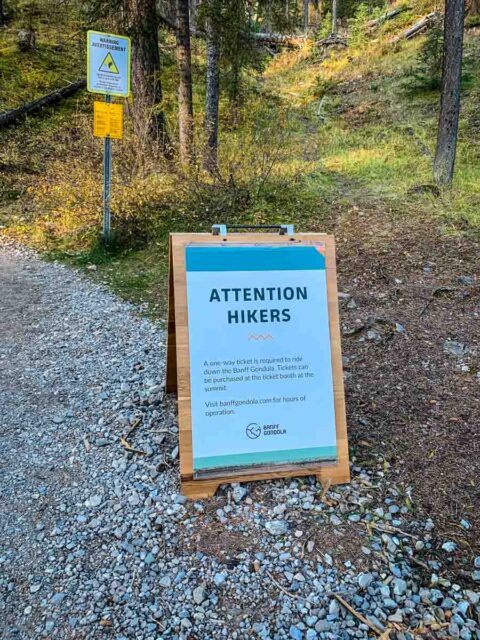 Sulphur Mountain Hike in Banff National Park - Travel Banff Canada