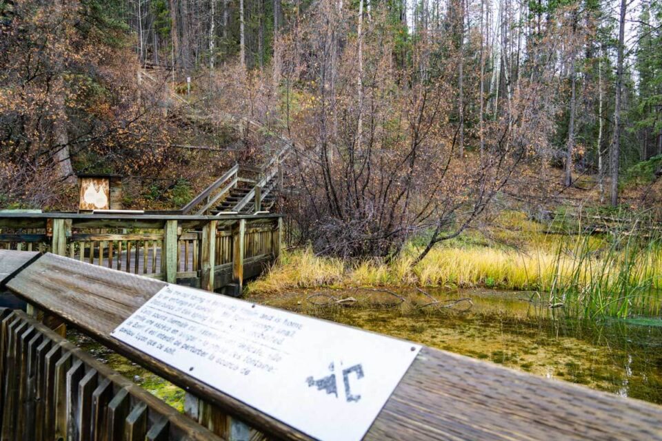 10 Amazing Hikes in the Banff Townsite – No Car Required! - Travel ...