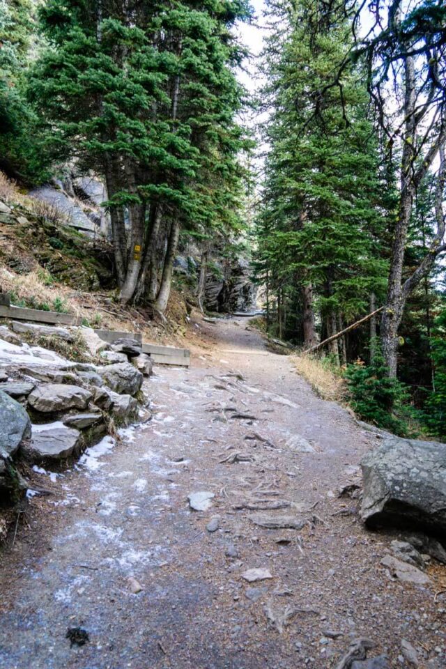 Little Beehive Hike in Lake Louise - Travel Banff Canada