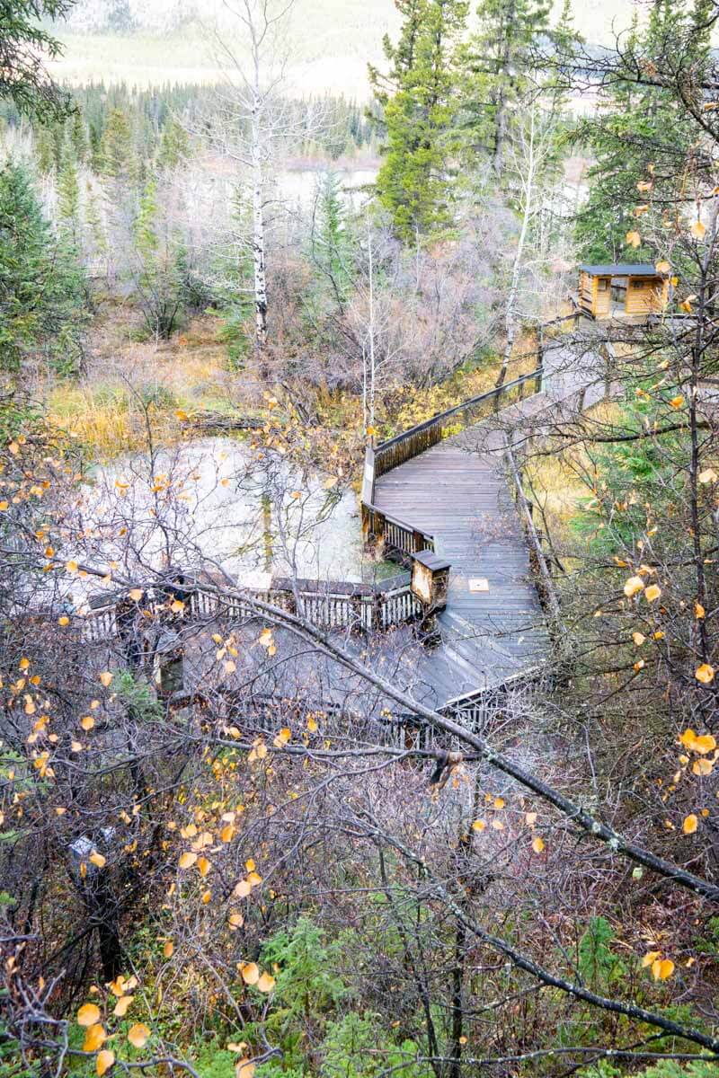 Cave and Basin Banff - Why This Historic Site Is a Must-Visit - Travel ...