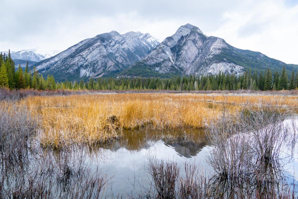 Cave and Basin Banff - Why This Historic Site Is a Must-Visit - Travel ...