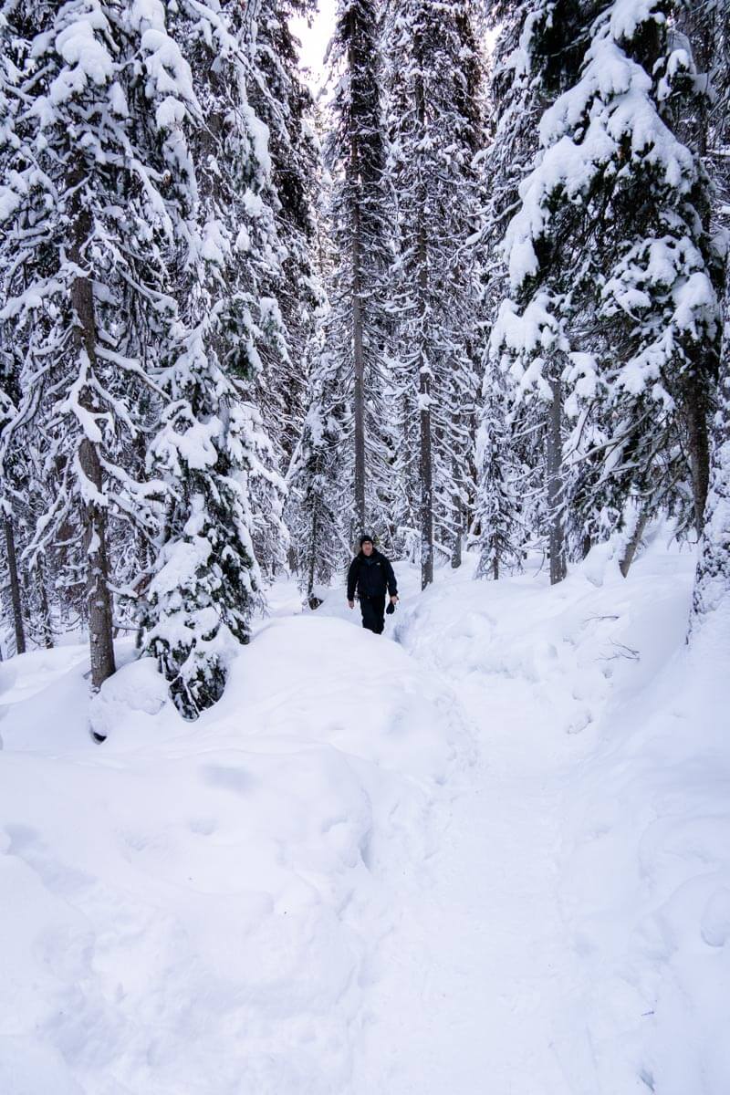 Fairview Lookout Snowshoe Trail at Lake Louise - Travel Banff Canada