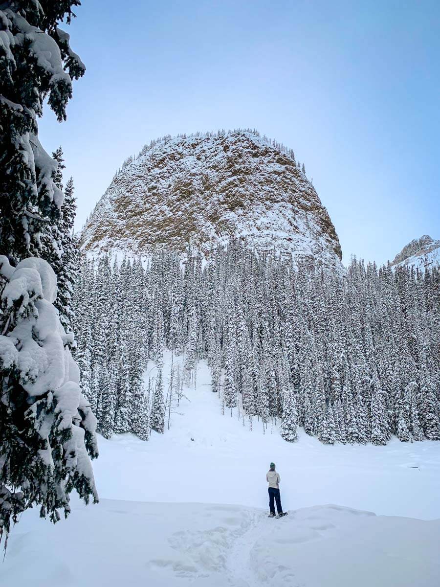 Best Lake Louise Snowshoe Trails - Travel Banff Canada