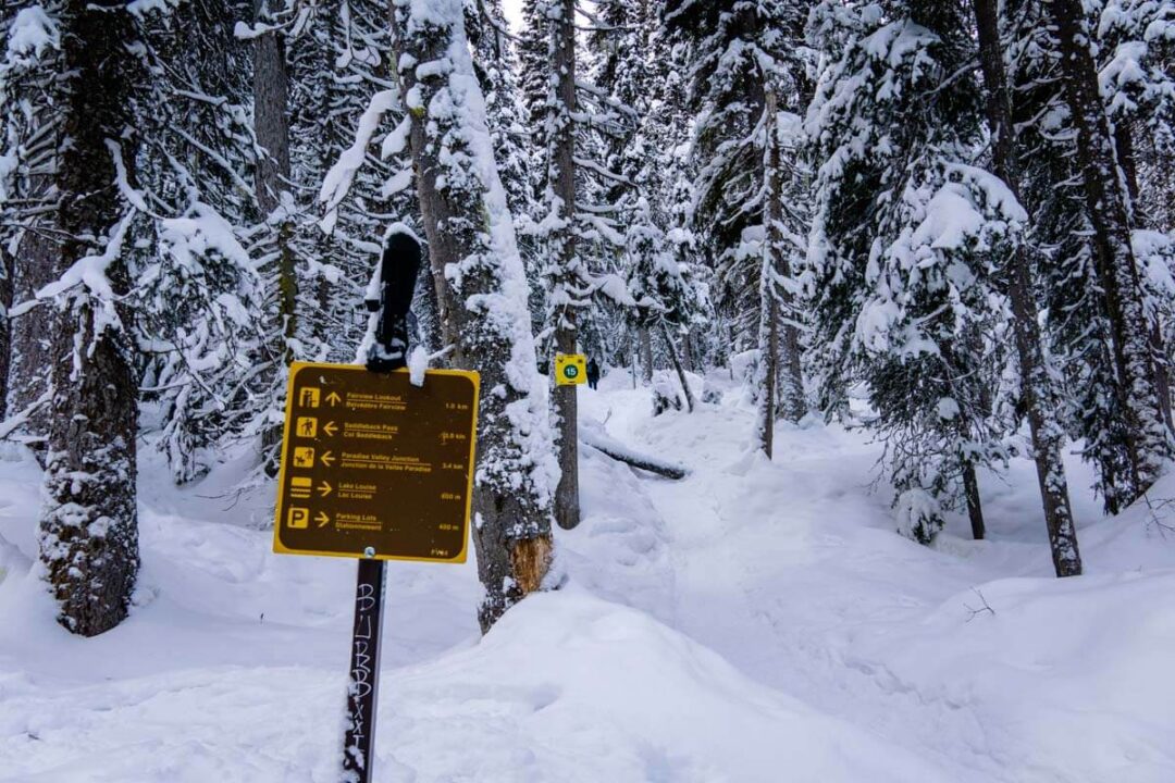 Fairview Lookout Snowshoe Trail at Lake Louise - Travel Banff Canada