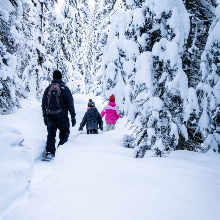 Your Ultimate Guide to Visiting Banff in March - Travel Banff Canada