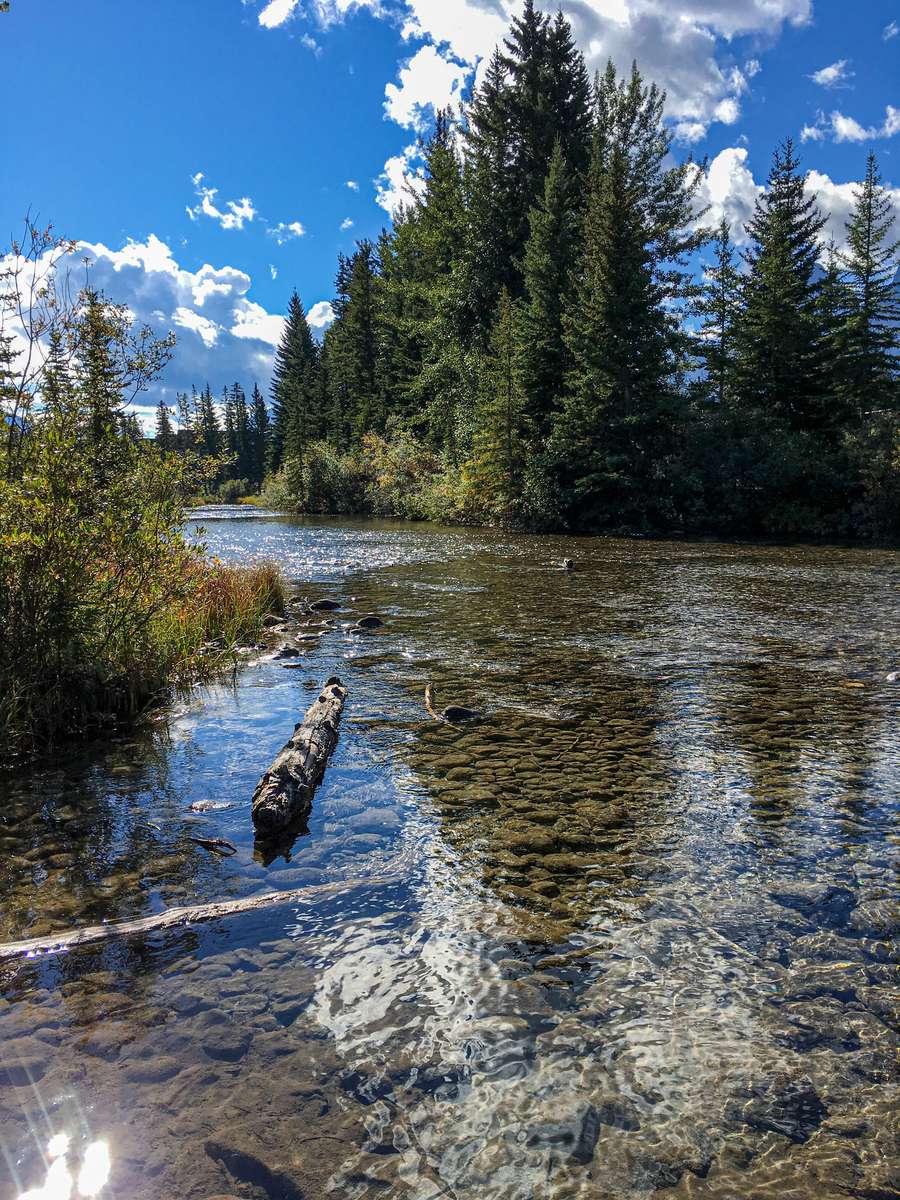 15 Easy Canmore Walking Trails - Travel Banff Canada
