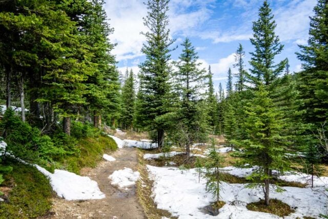 Banff in June: Weather, Tips & Things to Do - Travel Banff Canada