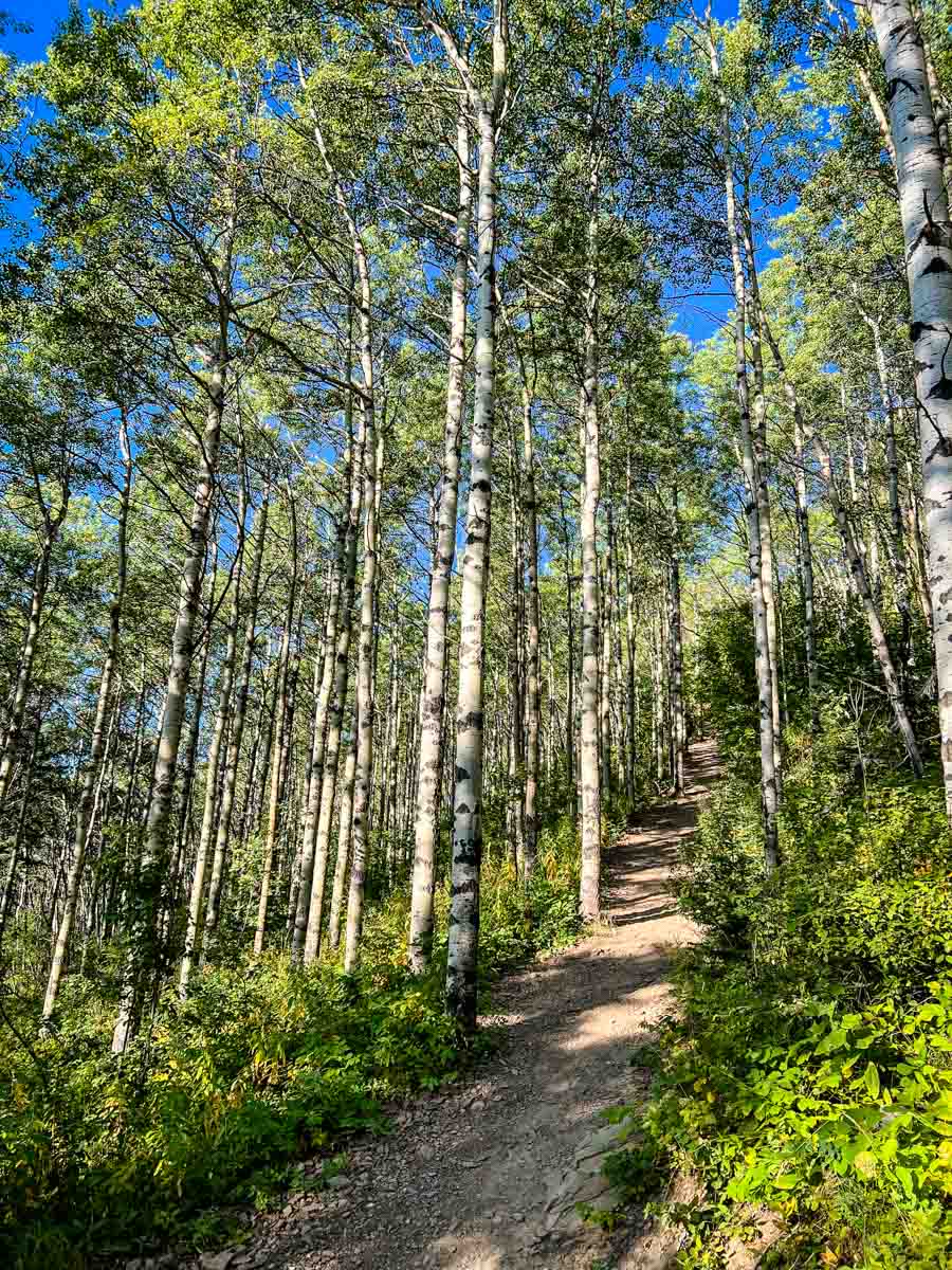 Mount Yamnuska Hike - Kananaskis Country - Travel Banff Canada