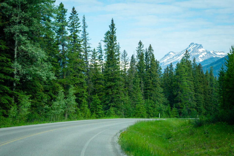 A Complete Guide to the Bow Valley Parkway in Banff National Park ...