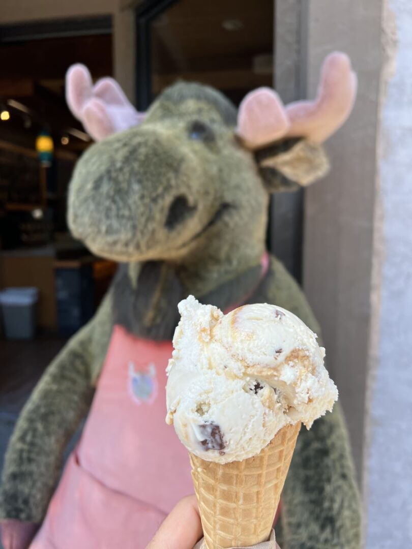7 Best Canmore Ice Cream Shops - Travel Banff Canada