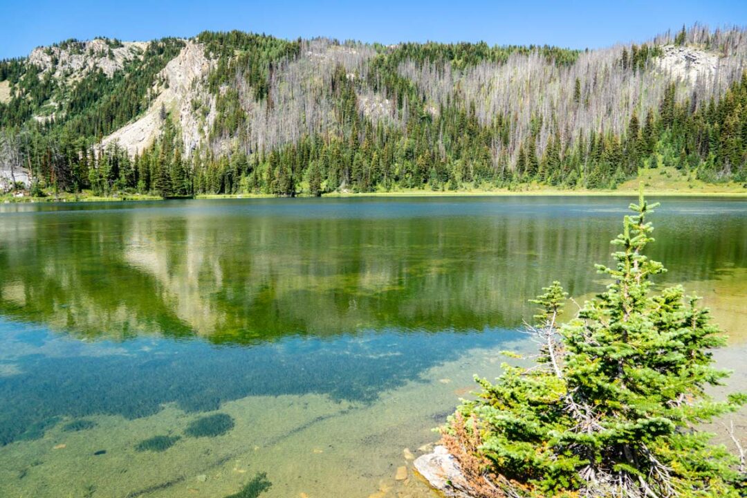 Hiking Sunshine Meadows in Banff National Park - Travel Banff Canada