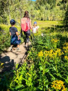 Hiking Sunshine Meadows in Banff National Park - Travel Banff Canada