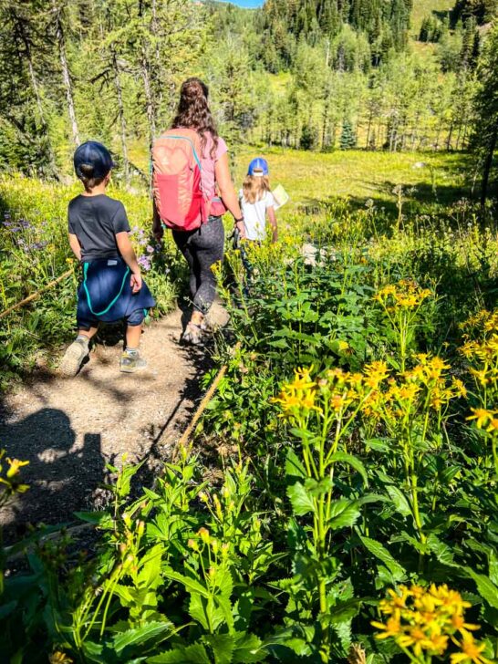 Hiking Sunshine Meadows in Banff National Park - Travel Banff Canada