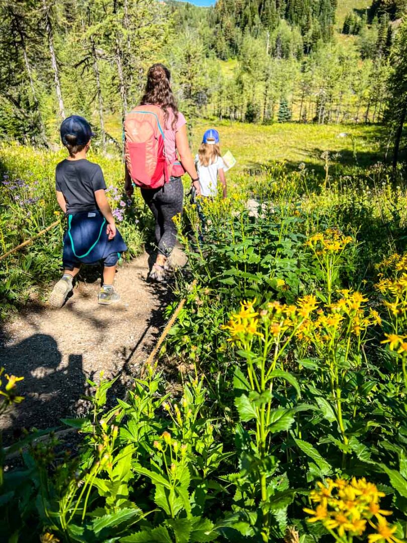Hiking Sunshine Meadows in Banff National Park - Travel Banff Canada