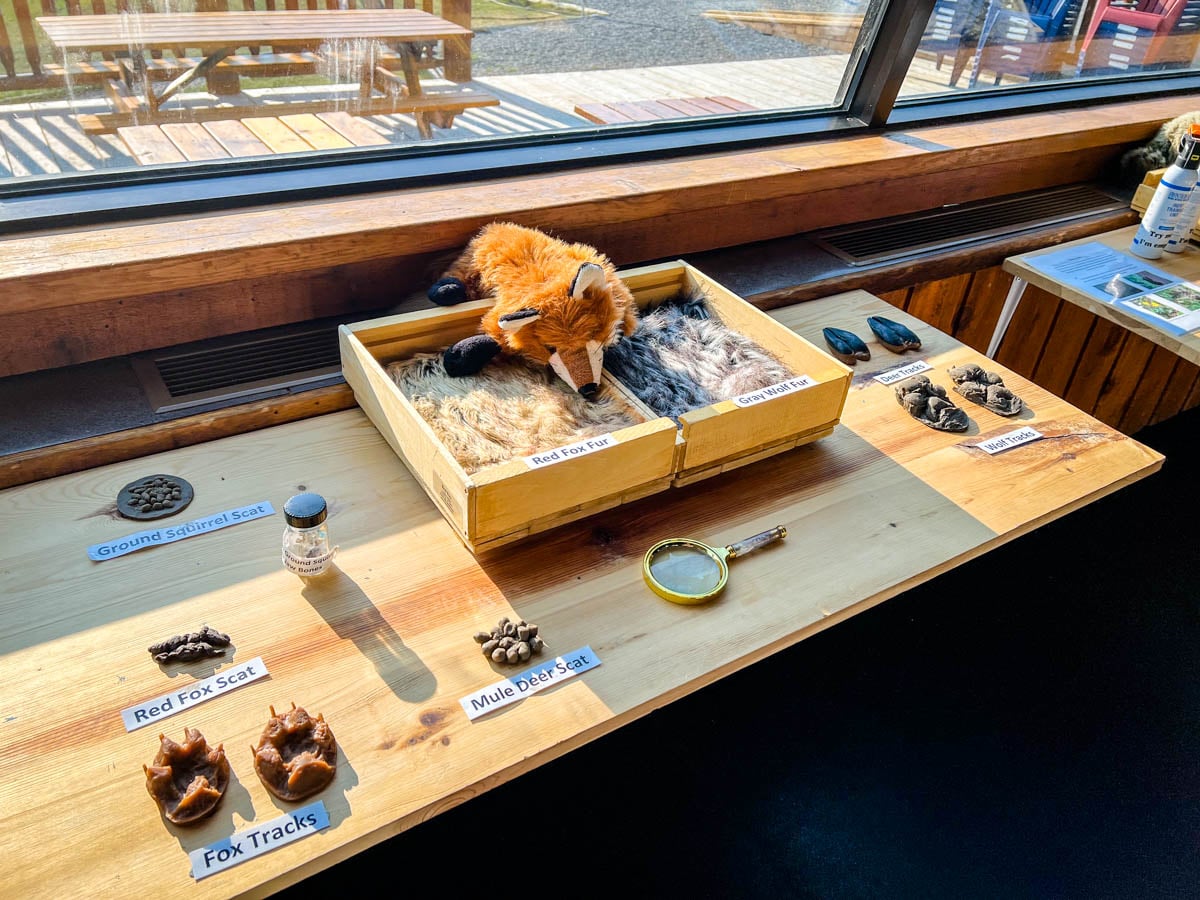 Sunshine Meadows Hike in Banff National Park - Travel Banff Canada