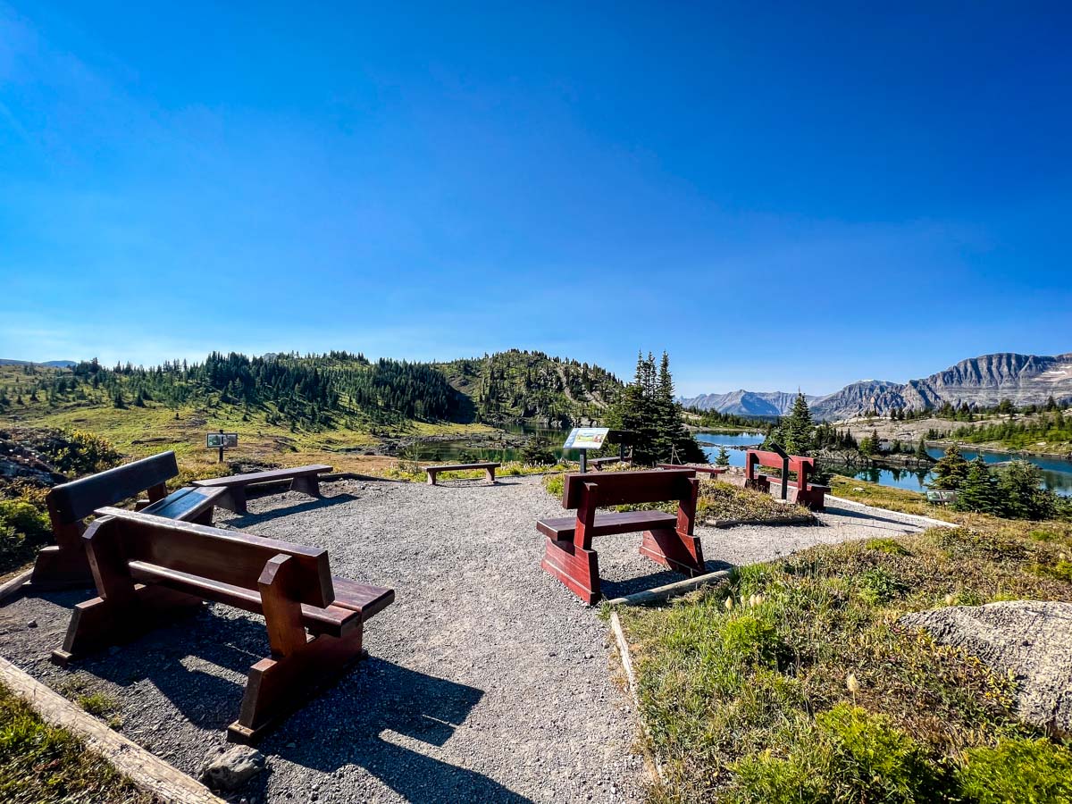 Sunshine Meadows Hike in Banff National Park - Travel Banff Canada