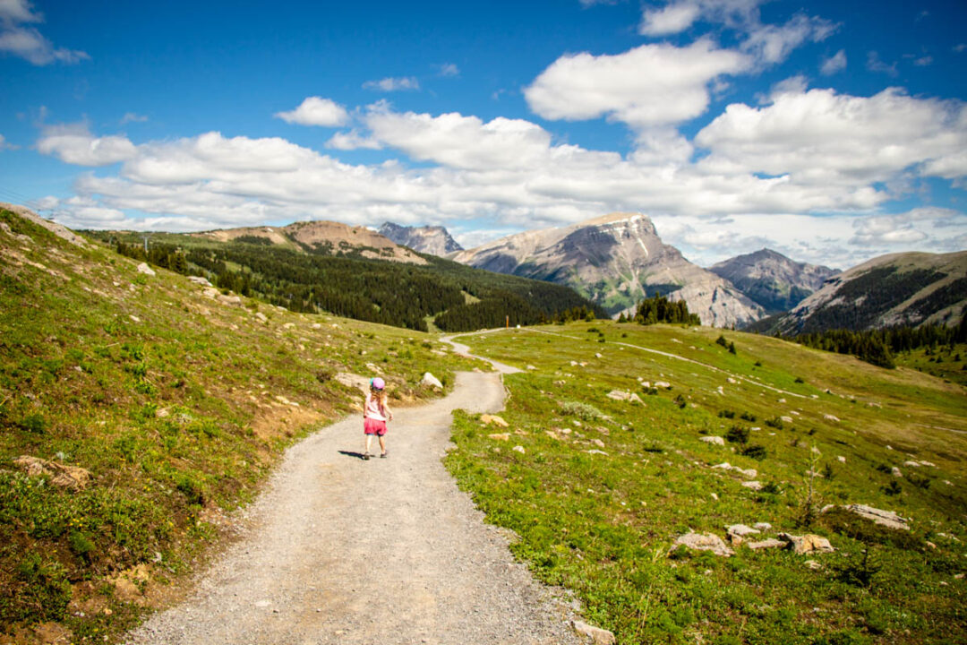 Sunshine Meadows Hike in Banff National Park - Travel Banff Canada