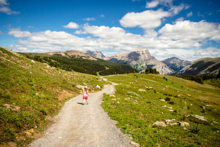 Sunshine Meadows Hike in Banff National Park - Travel Banff Canada