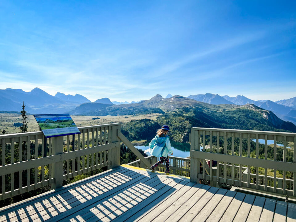 Sunshine Meadows Hike in Banff National Park - Travel Banff Canada