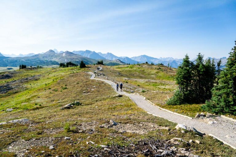 Sunshine Meadows Hike in Banff National Park - Travel Banff Canada
