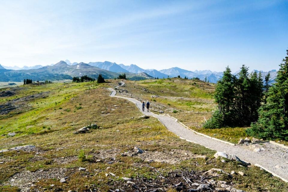Sunshine Meadows Hike in Banff National Park - Travel Banff Canada