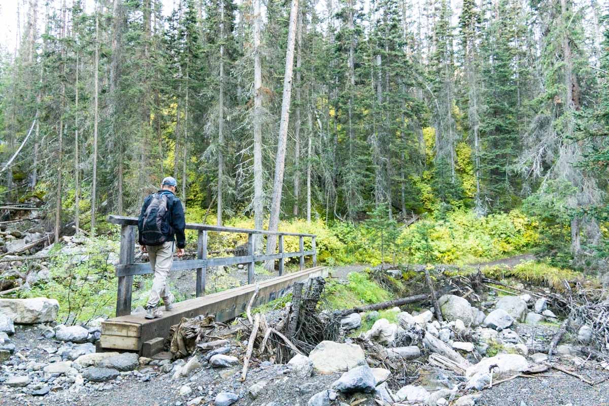 Healy Pass Trail in Banff National Park - Travel Banff Canada