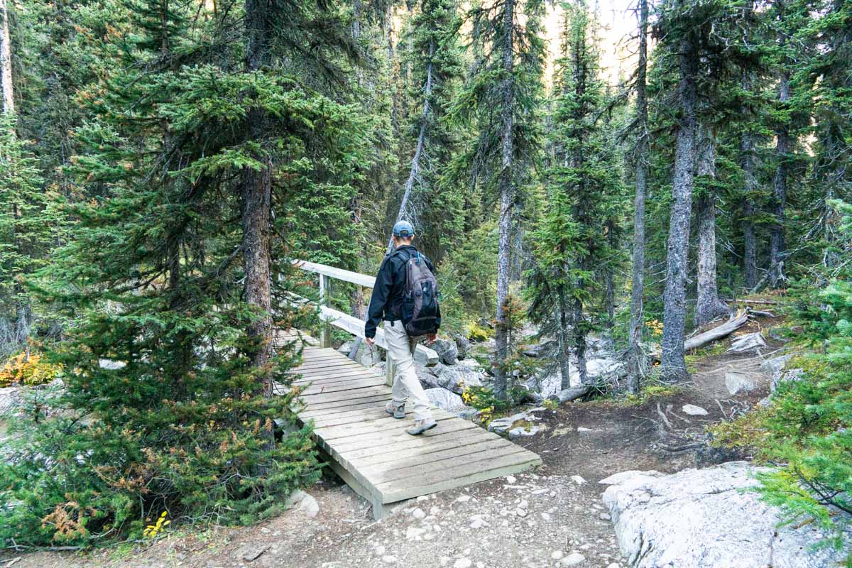 Healy Pass Trail in Banff National Park - Travel Banff Canada