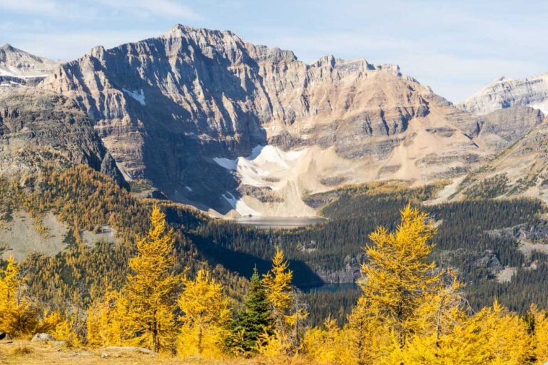 Healy Pass Trail in Banff National Park - Travel Banff Canada