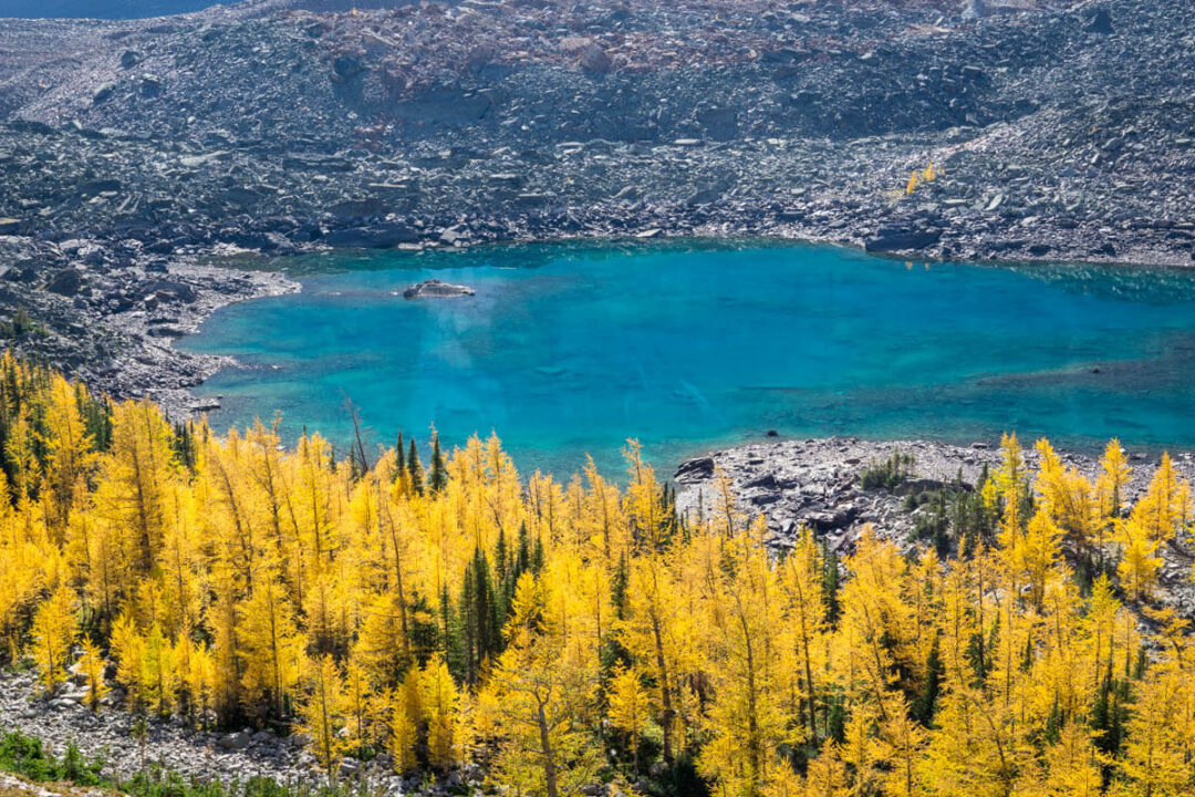 17 INCREDIBLE Larch Hikes in Banff National Park for 2025 - Travel ...