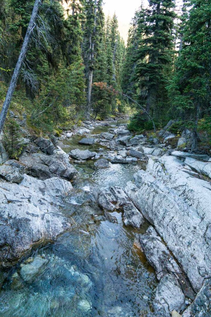 Healy Pass Trail in Banff National Park - Travel Banff Canada