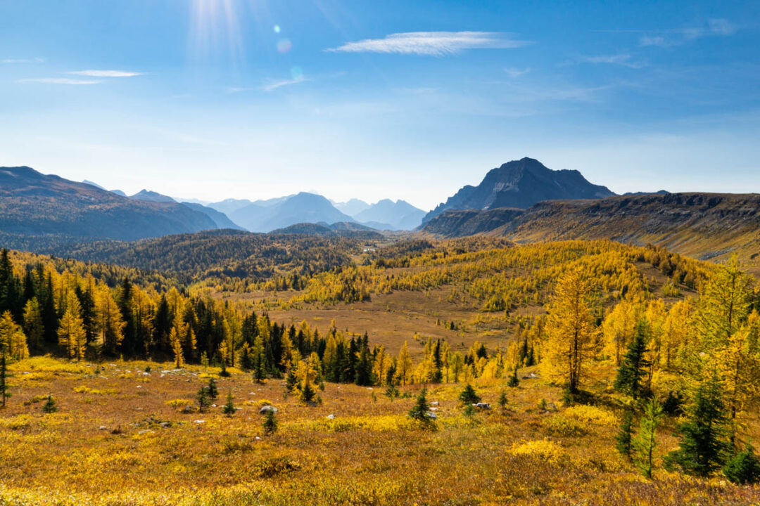 Healy Pass Trail in Banff National Park - Travel Banff Canada
