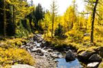 Healy Pass Trail in Banff National Park - Travel Banff Canada