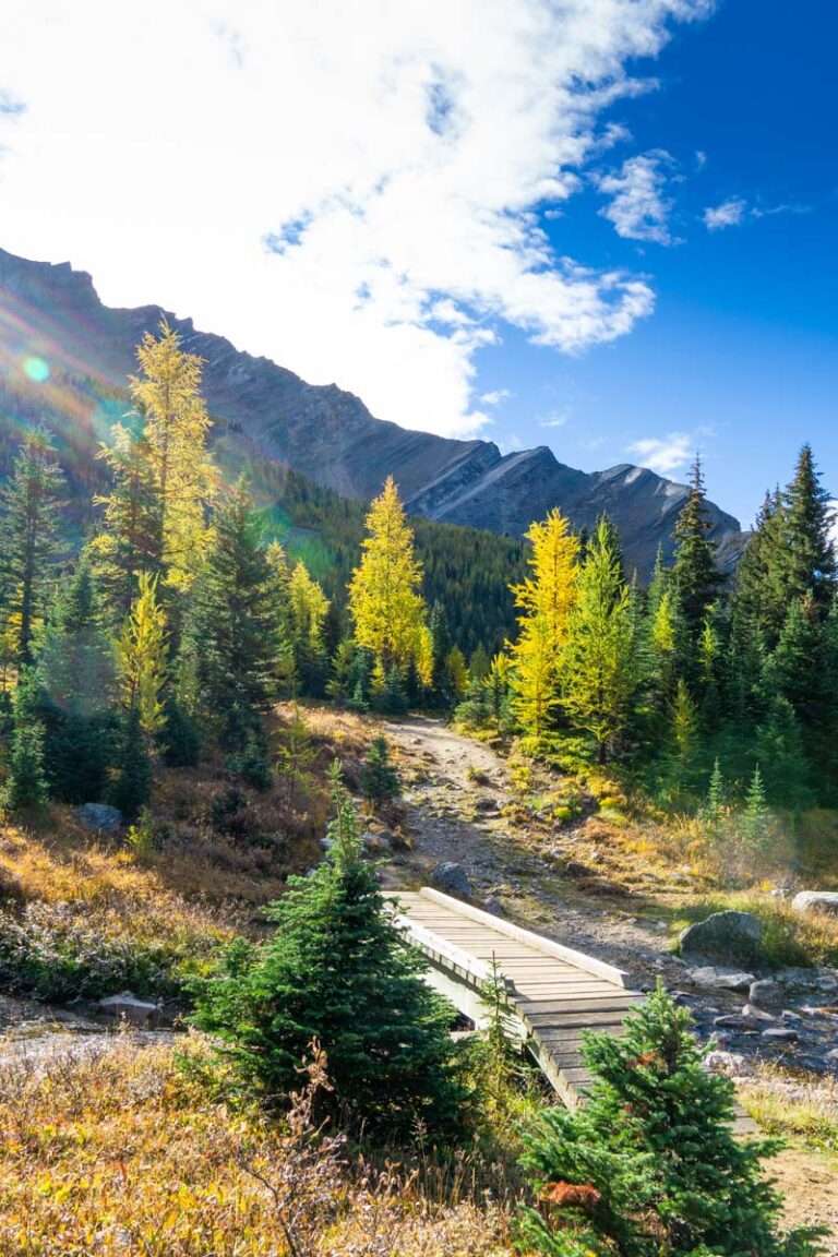 Hidden Lake Trail – Banff National Park - Travel Banff Canada