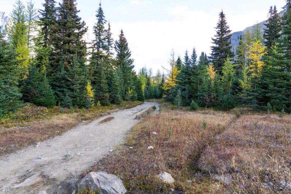 Hidden Lake Trail – Banff National Park - Travel Banff Canada