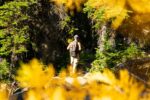 Healy Pass Trail in Banff National Park - Travel Banff Canada