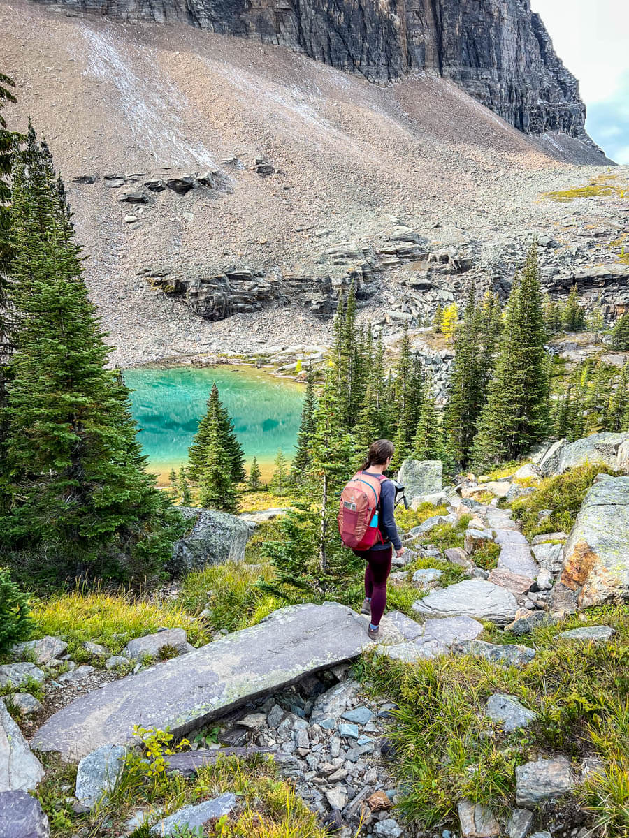 Lake O'Hara Hiking Trails - A Complete Guide - Travel Banff Canada