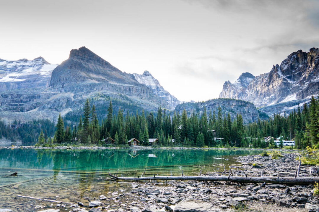 Lake O'Hara Hiking Trails - A Complete Guide - Travel Banff Canada