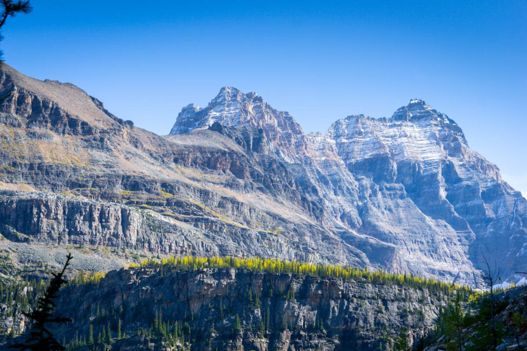 Lake O'Hara Hiking Trails - A Complete Guide - Travel Banff Canada